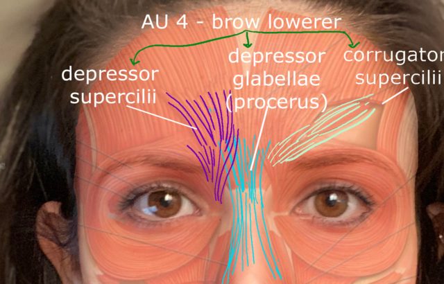 Webinars – CAVE Academy