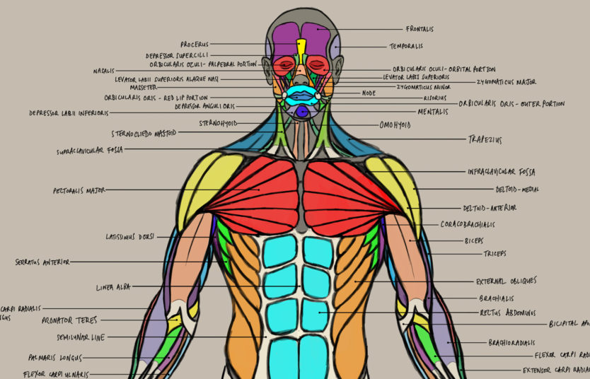 Courses – CAVE Academy