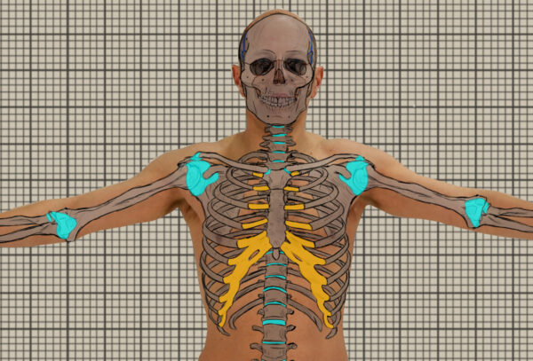 Anatomy Fundamentals 1001 – CAVE Academy