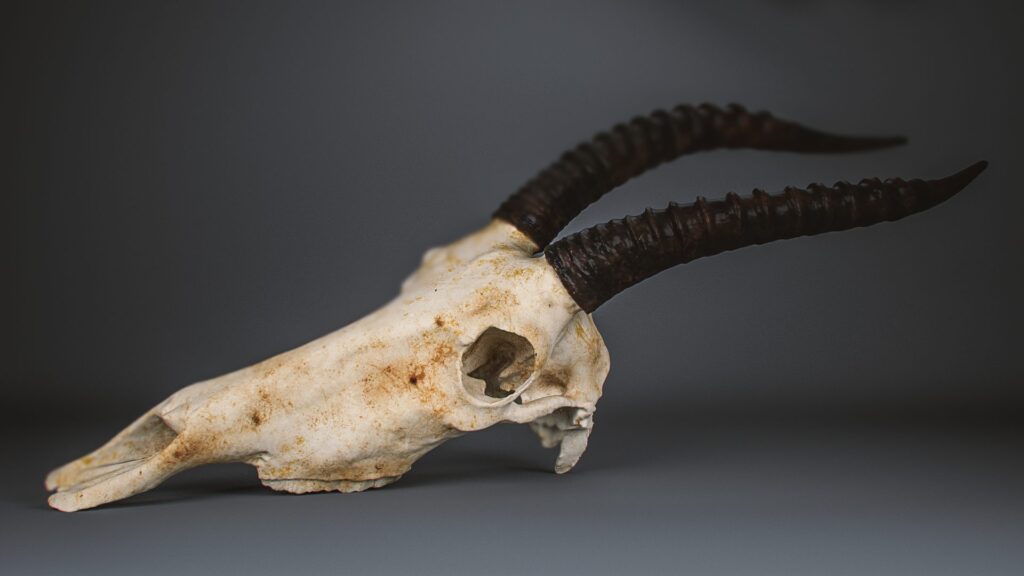 FREE – Maya Prop Look Development and Lighting Rig 1001 – CAVE Academy