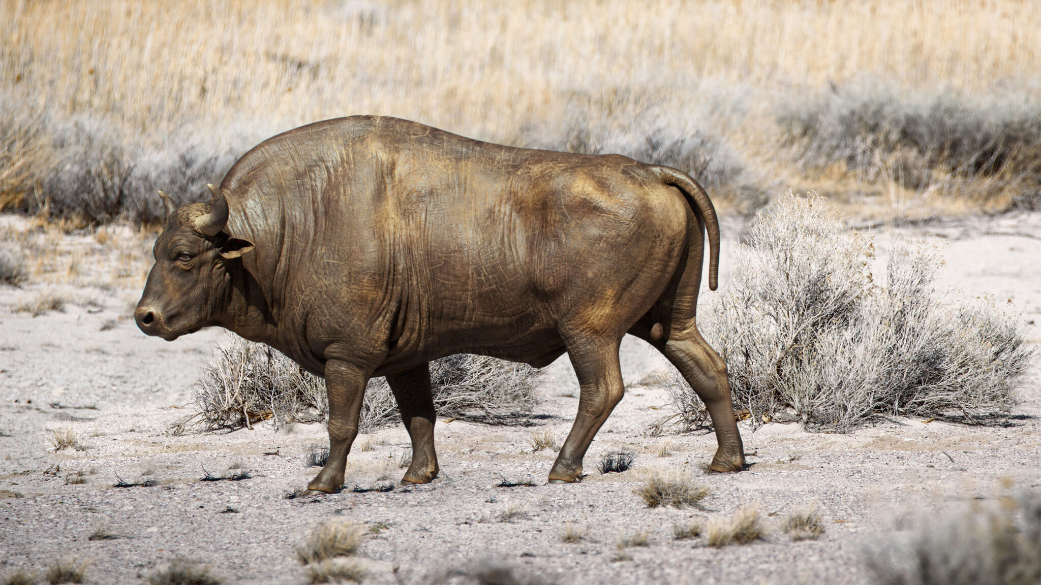 Modelling Creatures – CAVE Academy