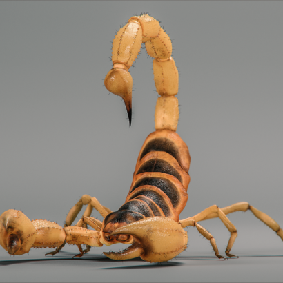 Modelling – CAVE Academy