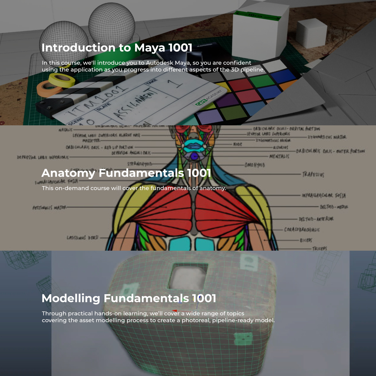 Modelling Pathway – Foundation – CAVE Academy