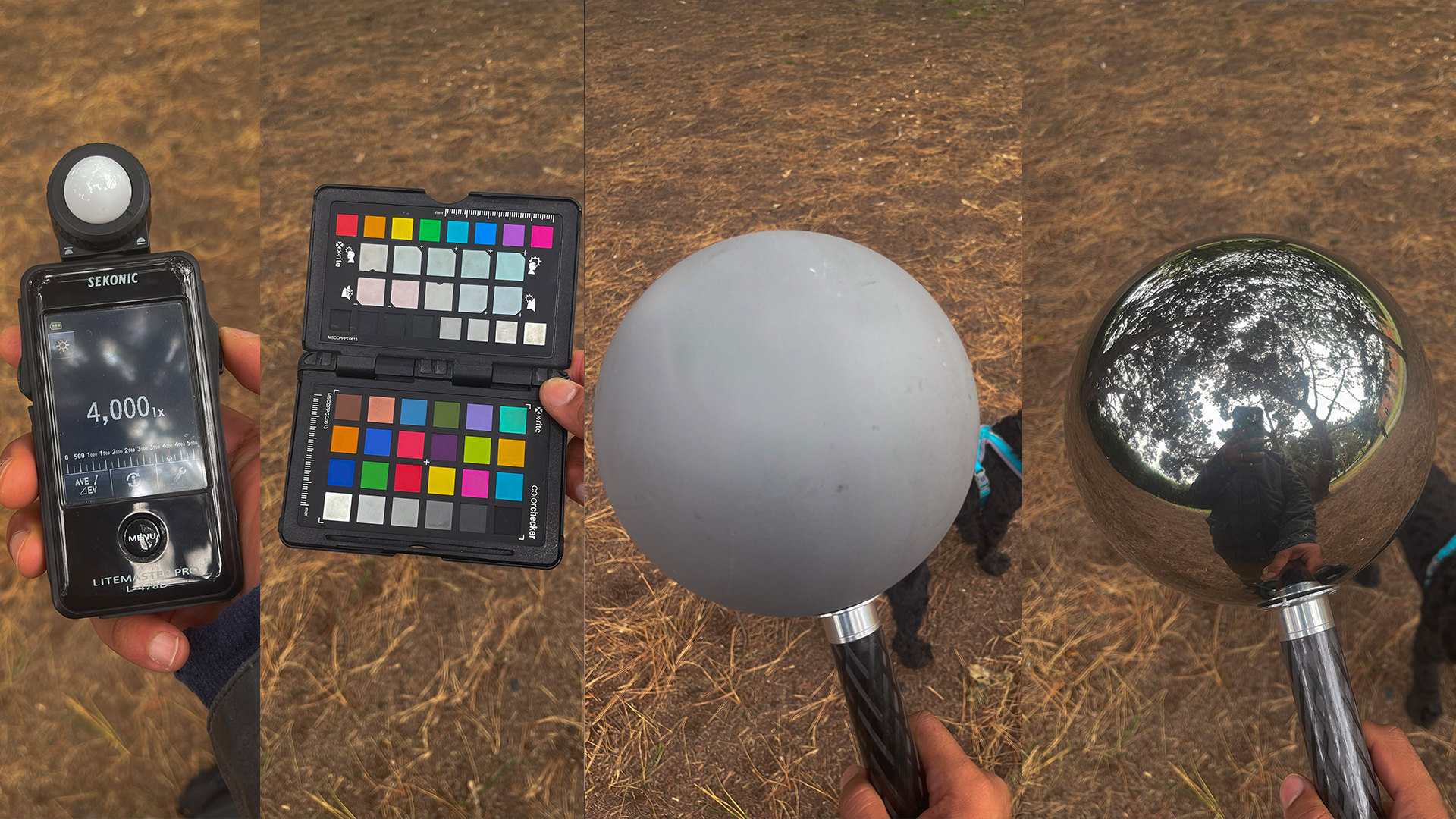 FREE – LUX Reference Set 1001 – CAVE Academy